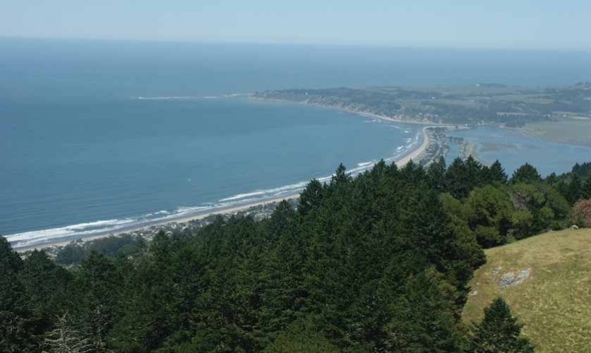 Race Preview Miwok 100K - Ultrarunning Magazine