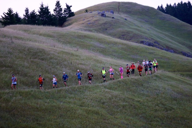 2014 Miwok 100K Race Report - Ultrarunning Magazine