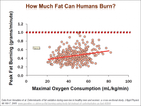 The Emerging Science on Fat Adaptation - Ultra Running Magazine