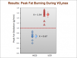 The Emerging Science on Fat Adaptation - Ultra Running Magazine