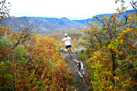 The Mountain Ultra Trail Dogs (MUTS) - Ultra Running Magazine