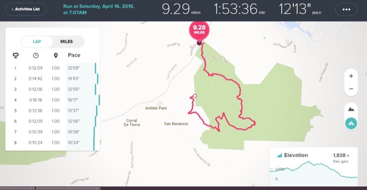 Fitbit Surge GPS Activity Tracker Review - Ultra Running Magazine
