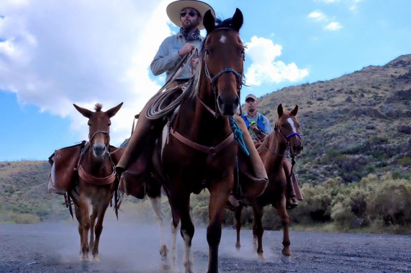 The Wild in Our Souls: Trans-Pecos Ultra - Ultra Running Magazine