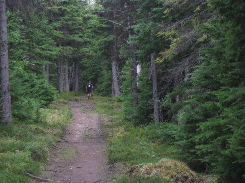 Resurrection Pass: Alaska’s 100-mile Adventure - Ultra Running Magazine