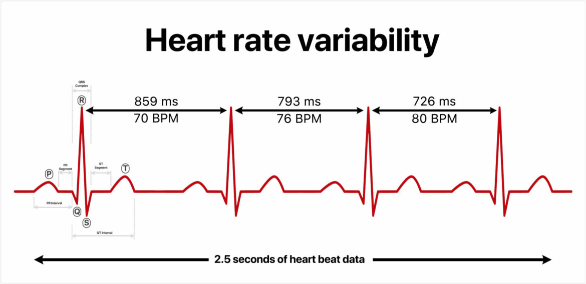 How to Use Heart Rate Variability for Ultra Running Training - Ultra ...