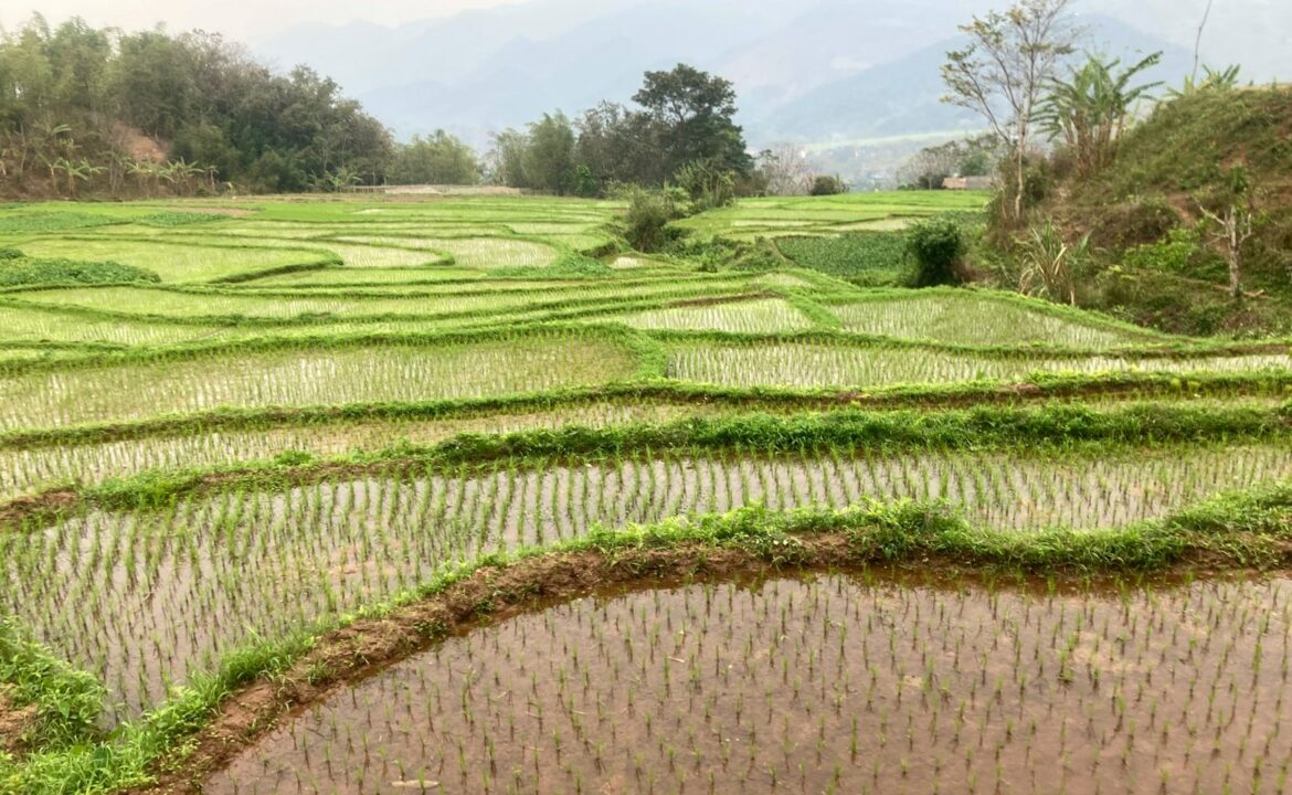 The VUM 55k: Mai Chau Memories - Ultra Running Magazine