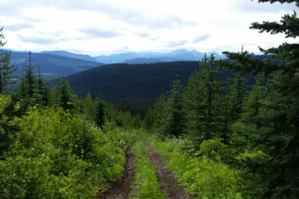 Race Preview – The Bighorn Trail 100 - Ultra Running Magazine