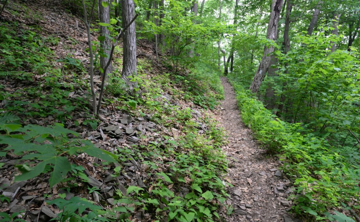 Trails and Friends - Ultra Running Magazine