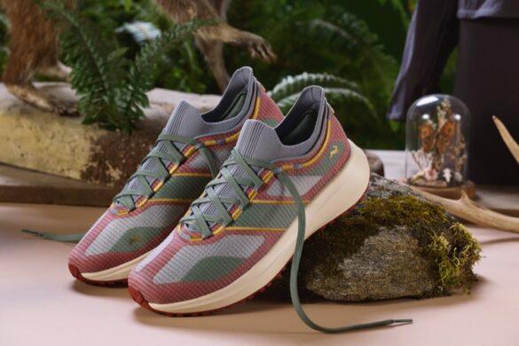 What Do Professional Trail and Ultrarunners Earn? - Ultra Running Magazine