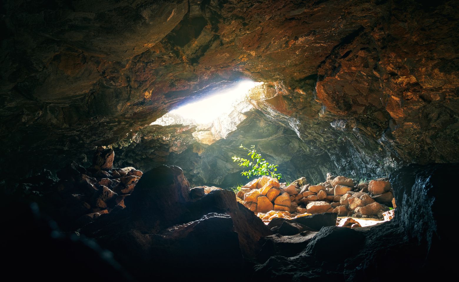 Pain Cave or Gratitude? - Ultra Running Magazine