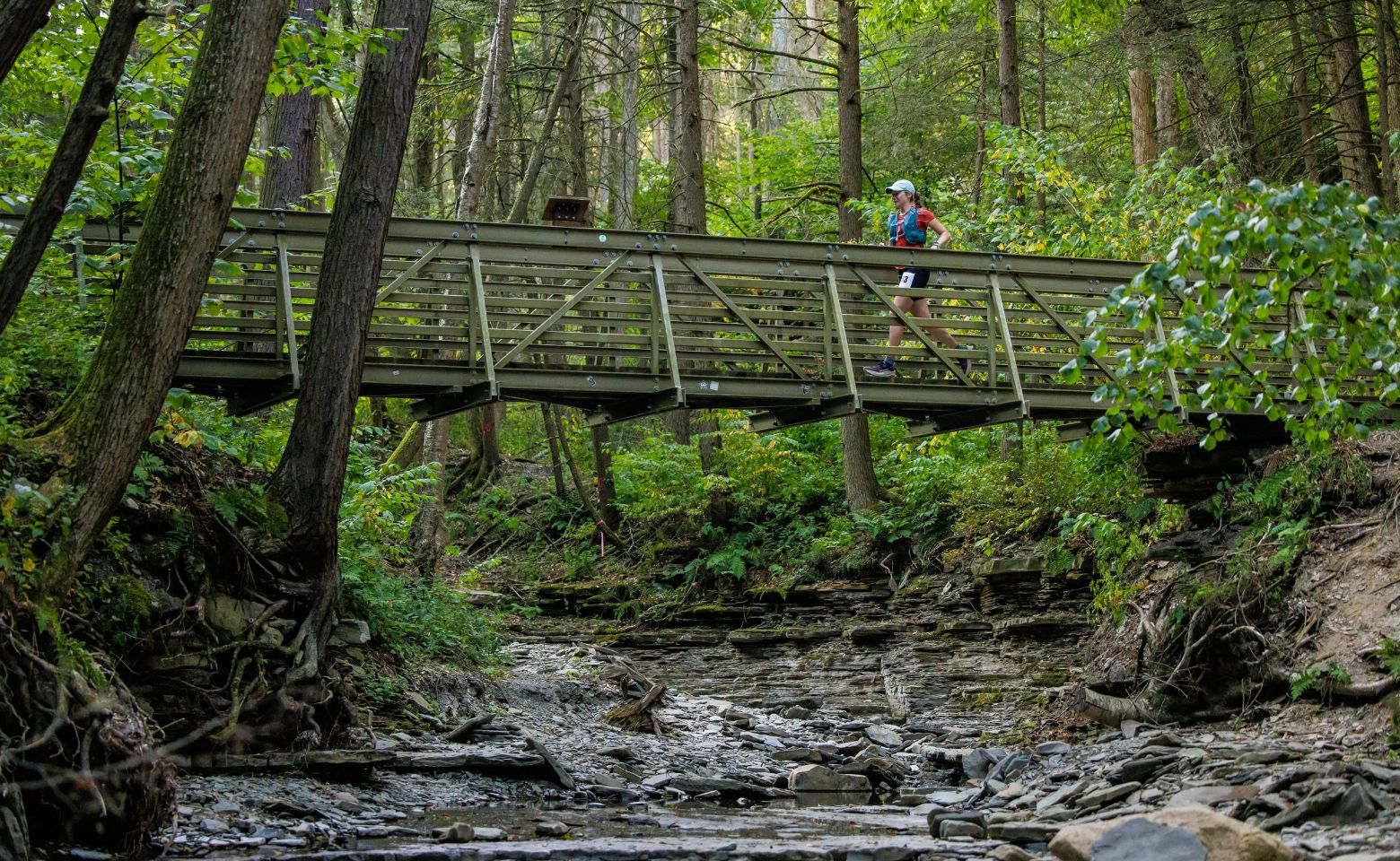 Twisted Branch: Embracing the Trails of Western New York - Ultra ...