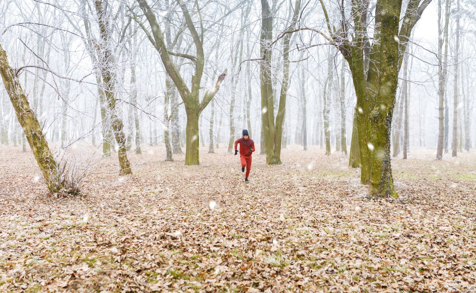 Ways to Measure a Run - Ultra Running Magazine